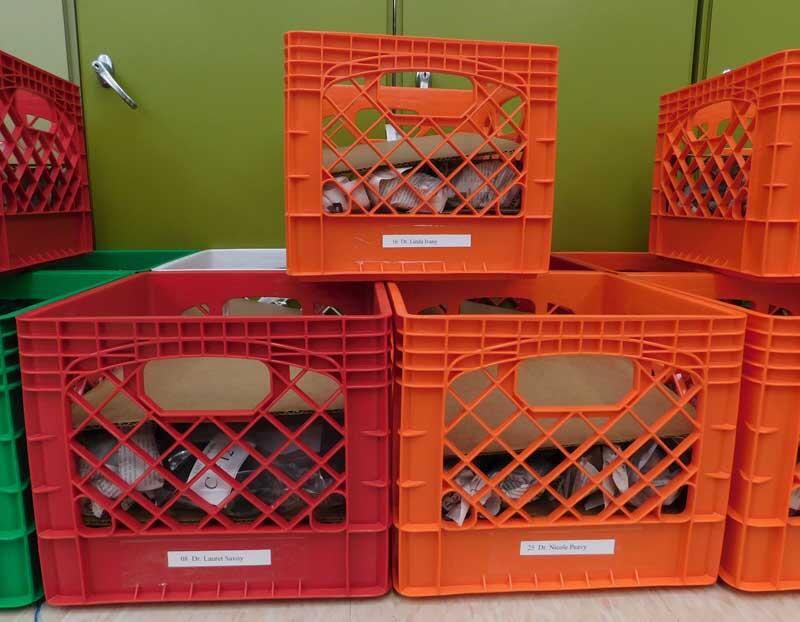 Milk crates of rock samples | SUNY Geneseo